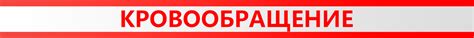3 самых полезных упражнения после 50 лет