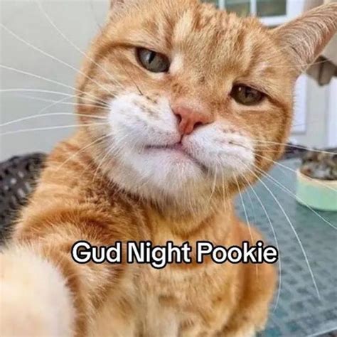 What Does Pookie Mean Tiktoks Viral Term Of Endearment Explained