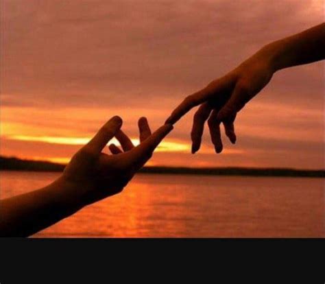 Sentimentos - Lesword