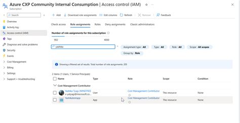 How To Resolve Rbacaccessdenied Error When Using Azure Api To Query