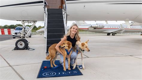 Private Jet For Dogs First Ever Dubai London Flight Costs 9925 Youtube
