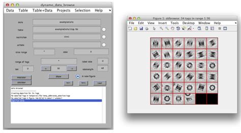 Starters Guide Dynamo