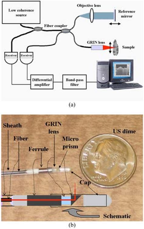 Figure 3 From Hybrid Positron Detection And Optical Coherence Tomography System Design