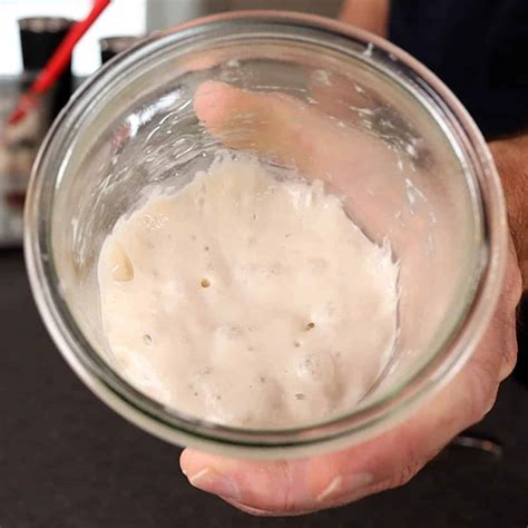 Sourdough Starter Recipe Simple Guide Home Cook Basics