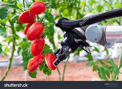 Iot Vertical Images Stock Photos Vectors Shutterstock