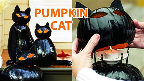 Black Cat Halloween Pumpkin Diy Halloween Crafts Youtube