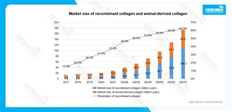 From Lab To Market The Rising Recombinant Collagen In The Chinese Cosmetic Industry Chemlinked