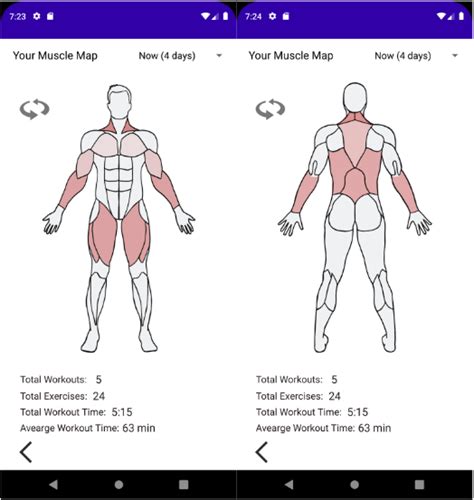 Github Dimavrem22muscle Map Android App Android Application For Tracking Exercises And