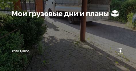 Мои грузовые дни и планы 😎 КОТО🐈БЛОГ Дзен