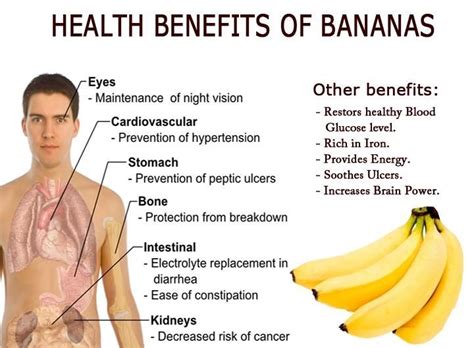 Bananas And Weight Loss Dirinter