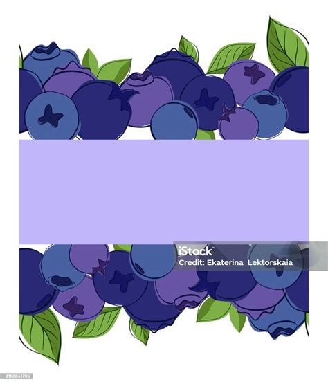 블루와 바이올렛 블루베리 완벽 한 테두리 프레임 벡터 배너 그래픽 윤곽선 그림 과일에 대한 스톡 벡터 아트 및 기타 이미지 과일 디자인 벡터 Istock