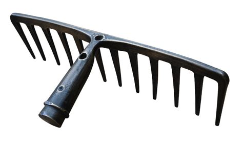 Proantic Model Of A Bronze Rake 19th Century