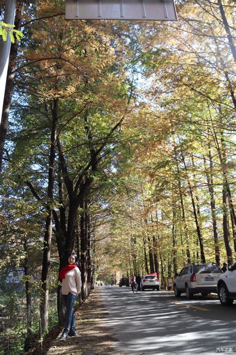 小小的留坝县城，很美的高江公路 汉中市游记