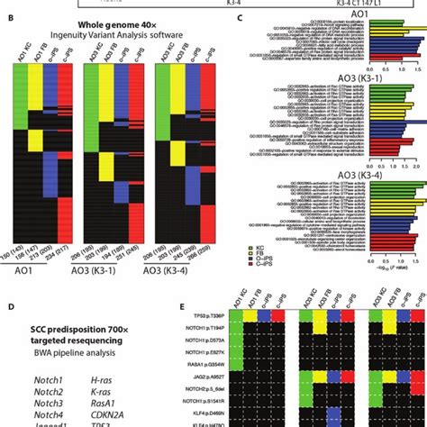 Variant Analysis From Both Whole Genome Sequencing And Targeted