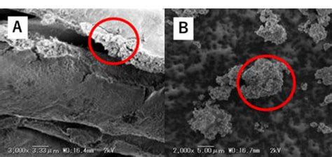 Xrd Results Of Iron Oxide Model Download Scientific Diagram