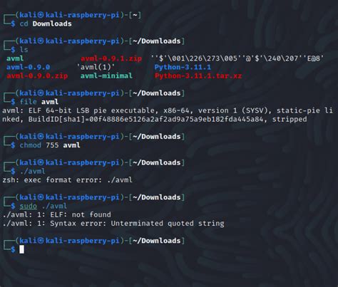 rasberry pi4 based kali linux platform execution issue · issue 247