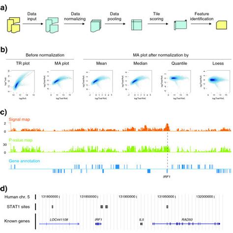 Tiling Array Data Processing By Tilescope A Flow Chart Of Major Data