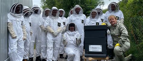 Furniture Group Implements Bee Hive Initiative Big Furniture Group