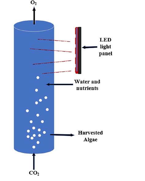 Schematic Of Photobioreactor Bpr Algae Cultivation System