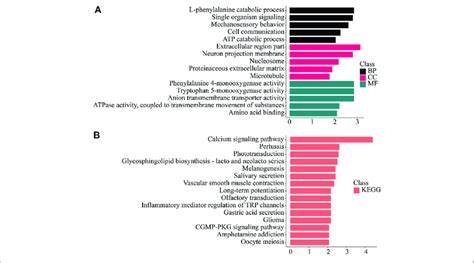Enrichment Analysis Of Gill Specific Differentially Expressed Genes