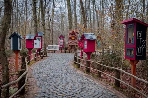 Günübirlik Ormanya Maşukiye Sapanca Turu