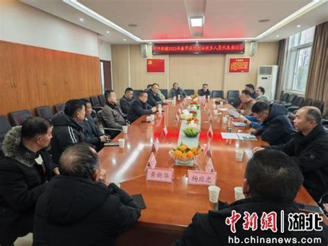中新网湖北 湖北新闻网 咸宁官埠桥镇举行新春乡贤座谈会 赋能乡村发展