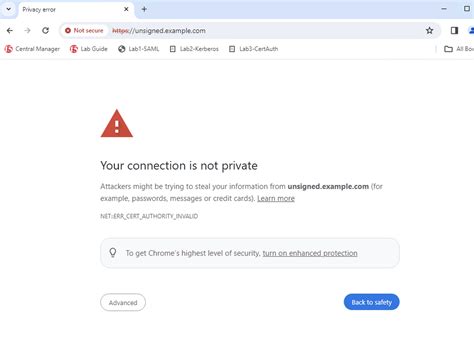 Lab Next Access Through API