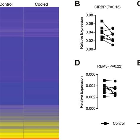 Heat Map And Gene Expression A Heatmap Of Microarray Data From