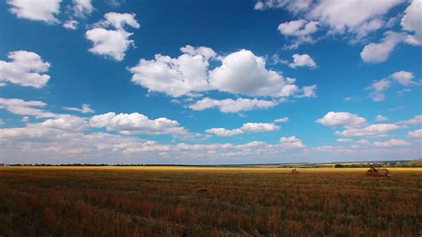 Yellow Field And Cloudy Sky Stock Footage Video 4298078 Shutterstock