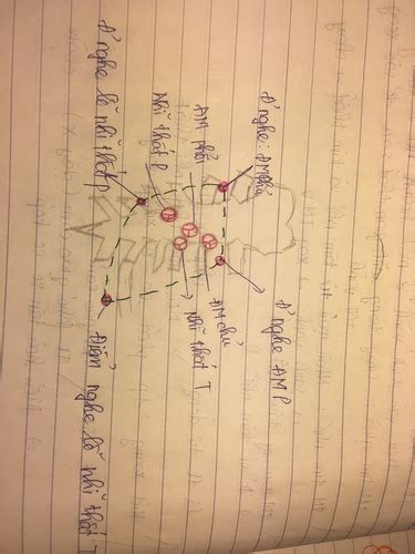 Th Ghi Nh Modul Tim M Ch Quizlet