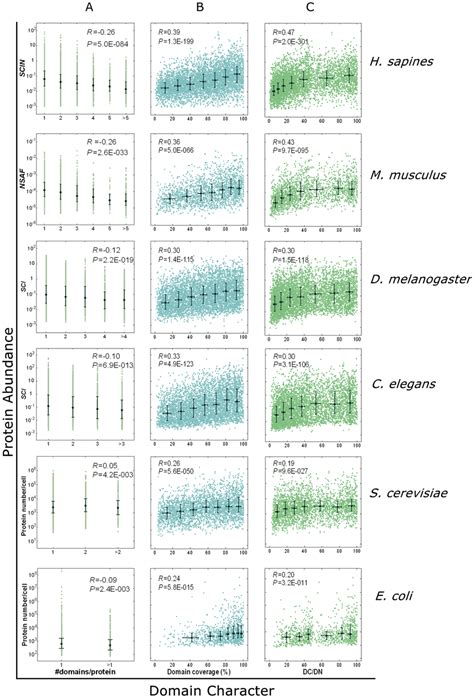 Proteome Wide Correlation Between Proteins Abundance And Their Domain Download Scientific