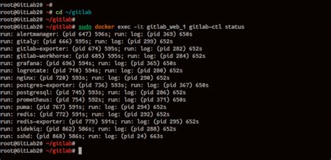 Cómo Instalar Gitlab Con Docker En Ubuntu 2004 Lts Howtoforge