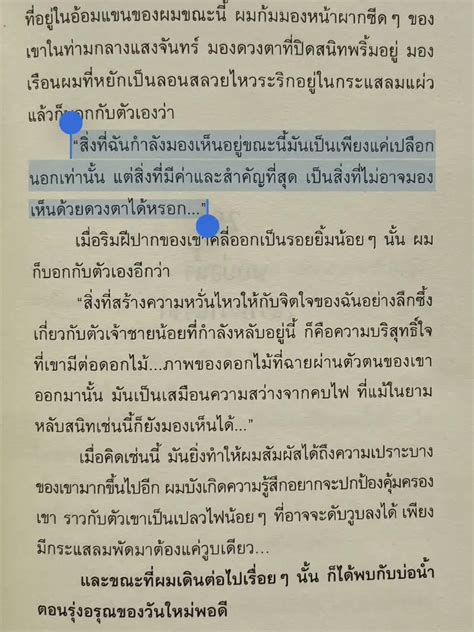 ประโยคที่ชอบจากหนังสือเจ้าชายน้อย👦🏻🌹🦊 แกลเลอรีที่โพสต์โดย Lemongirl