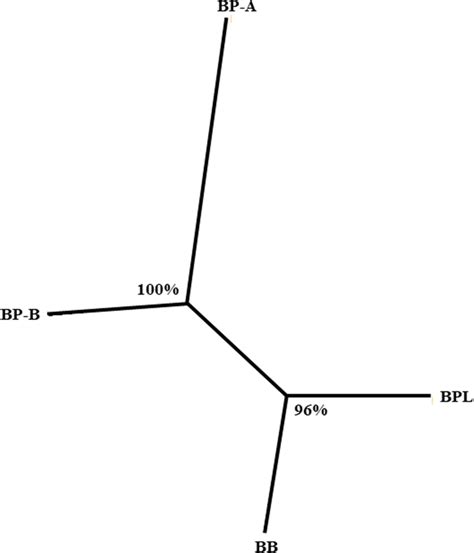 Neighbor Joining Dendrogram Of Four Farmed Populations Of Snakeskin