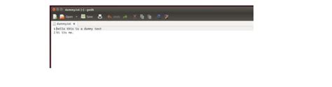 Jak Utworzyć Plik W Systemie Linux Za Pomocą Terminalu Ubuntix