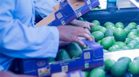 Idh Salary Matrix Idh The Sustainable Trade Initiative