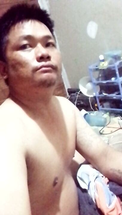 Beruang Asia Xhamster