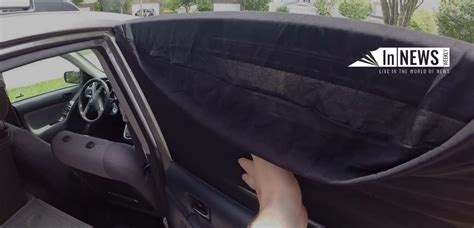 3 Benefits Of A Bug Screen For Your Car In Newsweekly