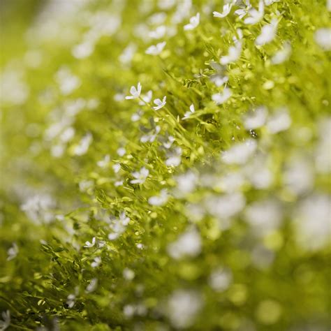 Cgi Renders 3d Art Collection Behance