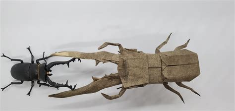Stag Beetle By Kamiya Satoshi And Bandai Rorigami