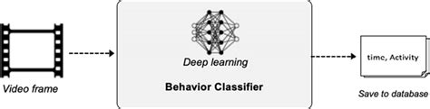 Example Of Input And Output Data For The Behavior Classifier Download