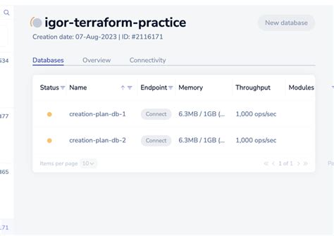 Terraform And Redis Cloud An Autopilot To Deploy Your Apps 2x Faster