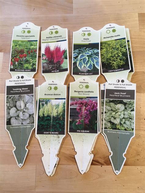 Howre These Plants Zone 3 Rnativeplantgardening