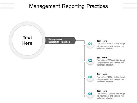 Management Reporting Practices Ppt Powerpoint Presentation Outline