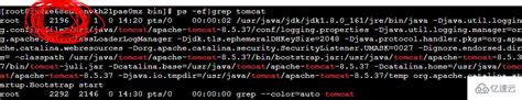 Linux如何解决tomcat无法关闭问题 建站服务器 亿速云