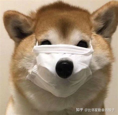 胭脂虫 知乎