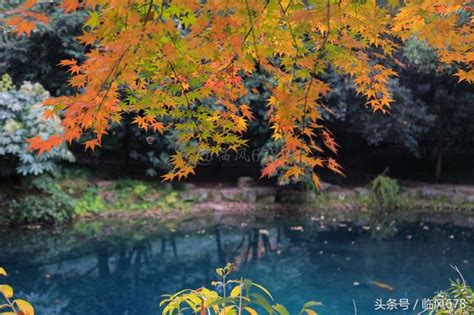杭州九溪煙樹秋意正濃，被稱為江南小九寨溝 每日頭條