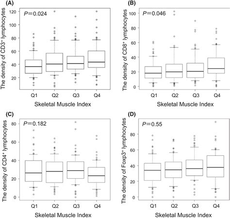 Correlation Between Intratumoral Tils And Skeletal Muscle Index In Download Scientific Diagram
