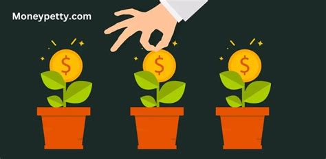 म्यूचुअल फंड क्या है What Is Mutual Fund In Hindi Moneypetty