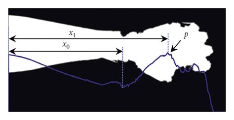 seed point detection in a the blue line is the vertical intensity